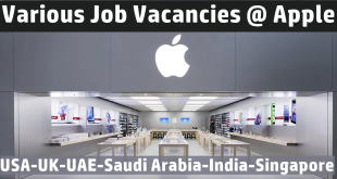 IT & Communication Jobs | Software Engineer | Telecom Careers