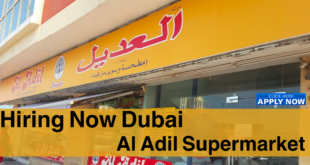 Jobs in Dubai | Freshers and Experienced Careers