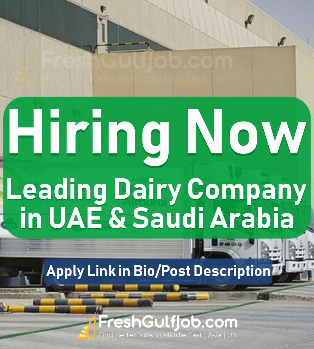 Almarai Job Vacancy 2023 | Saudi Arabia | UAE | Kuwait