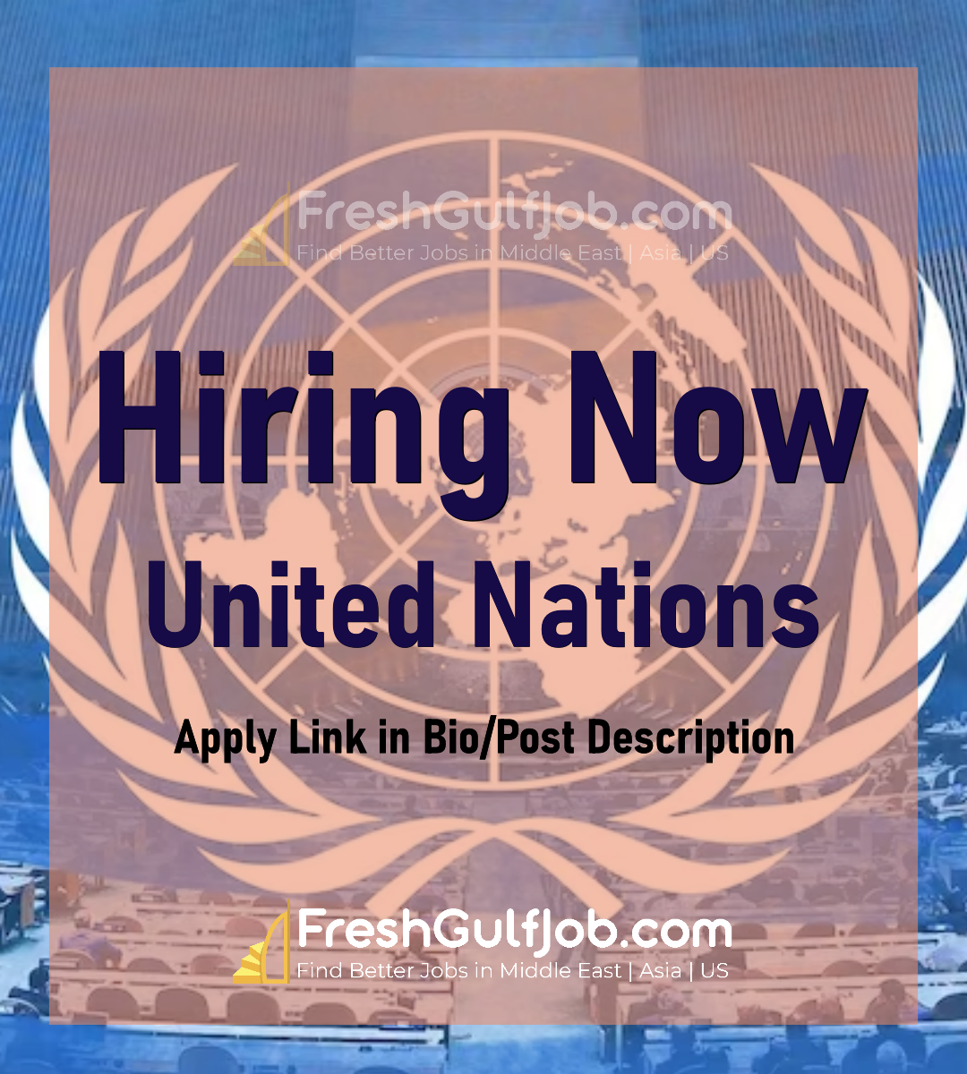 United Nations Jobs | UN Careers Worldwide (2026)